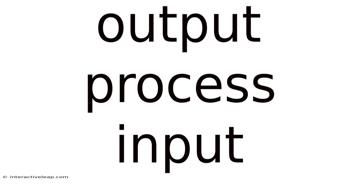 Output Process Input