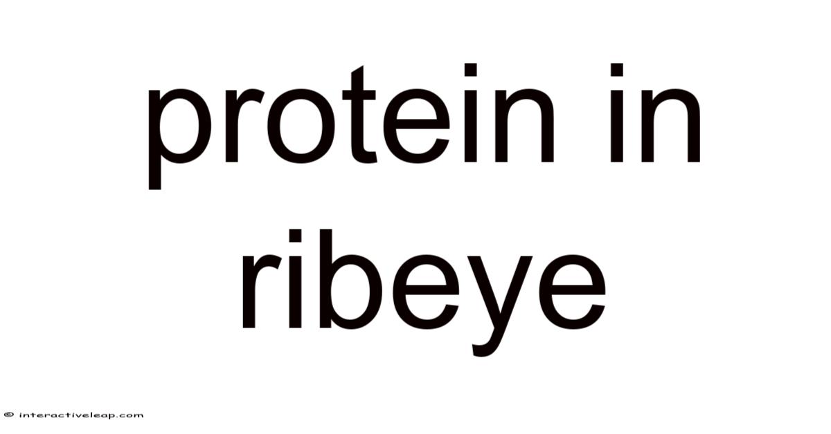 Protein In Ribeye